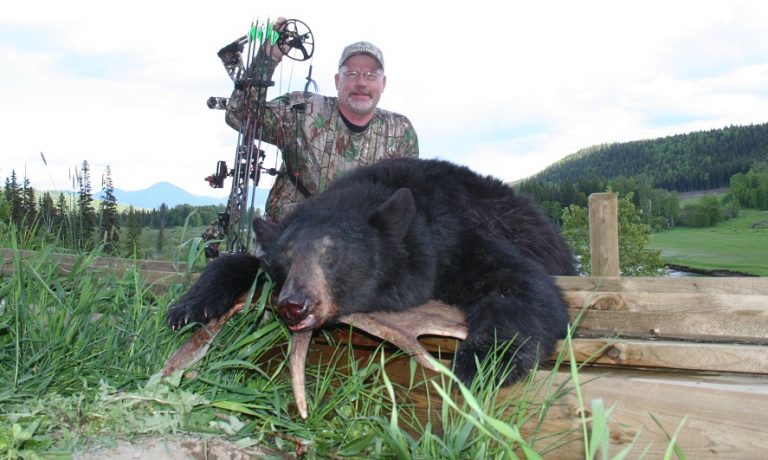 Bernie Barringer’s Minnesota Bear Hunting | Quality bear hunting in ...