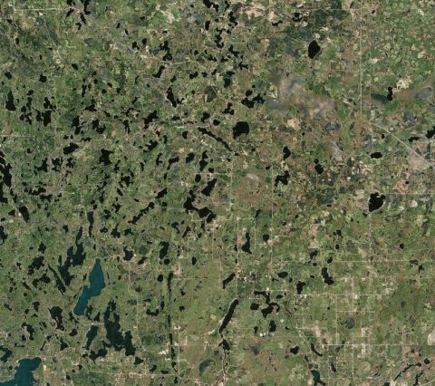 Bernie Barringer’s Minnesota Bear Hunting | Quality bear hunting in ...